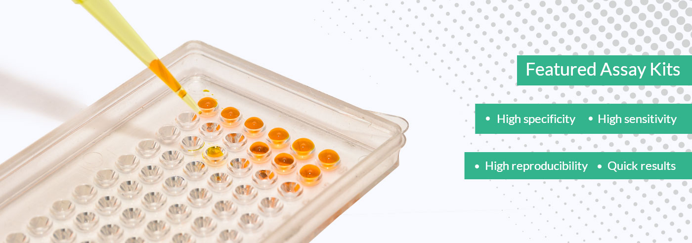 Assay Kit – Creative BioMart