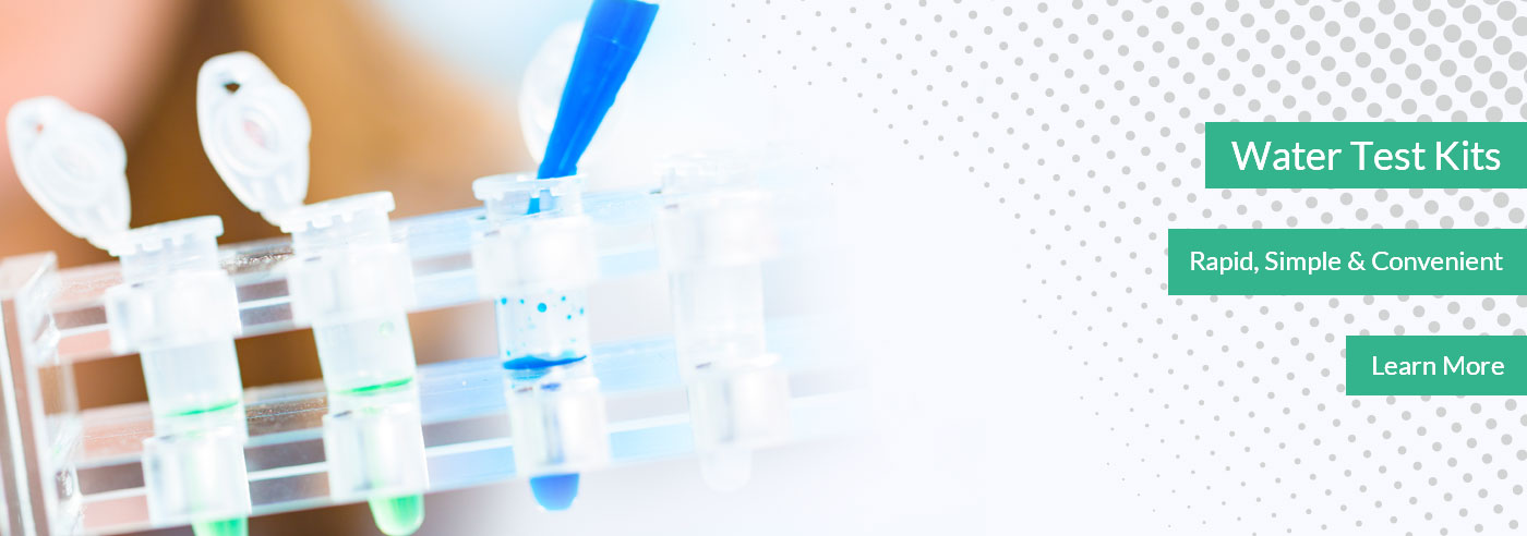 Assay Kit – Creative BioMart