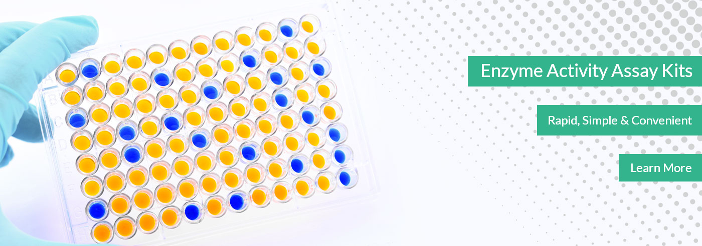 Assay Kit – Creative BioMart