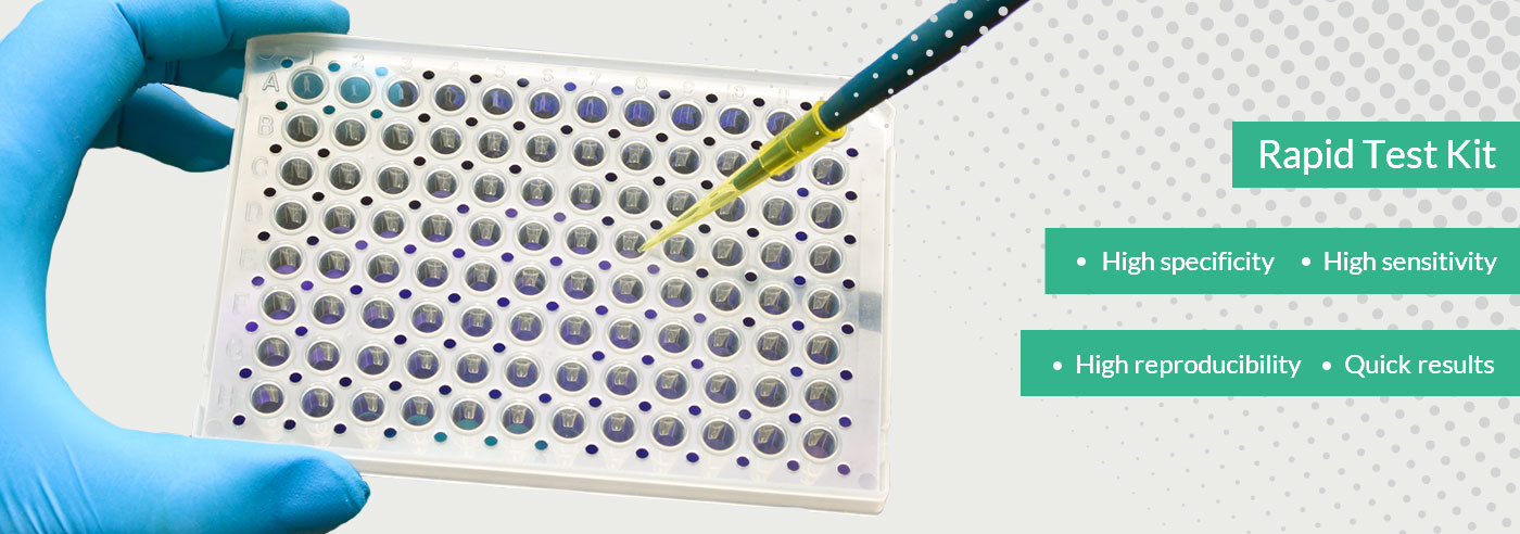 Assay Kit – Creative BioMart