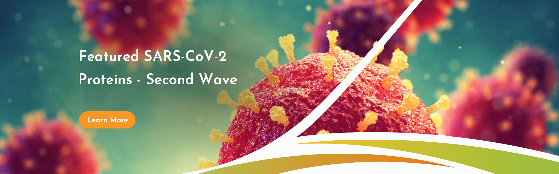 Creative BioMart - Recombinant Protein, Native Protein, GMP Protein And ...