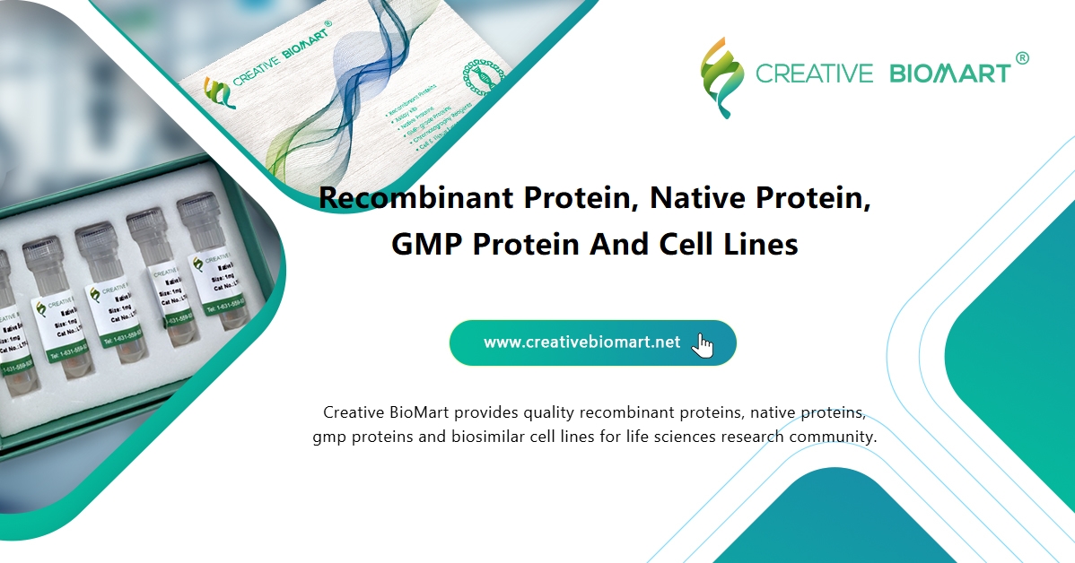 Recombinant Protein, Native Protein, GMP Protein And Cell Lines ...