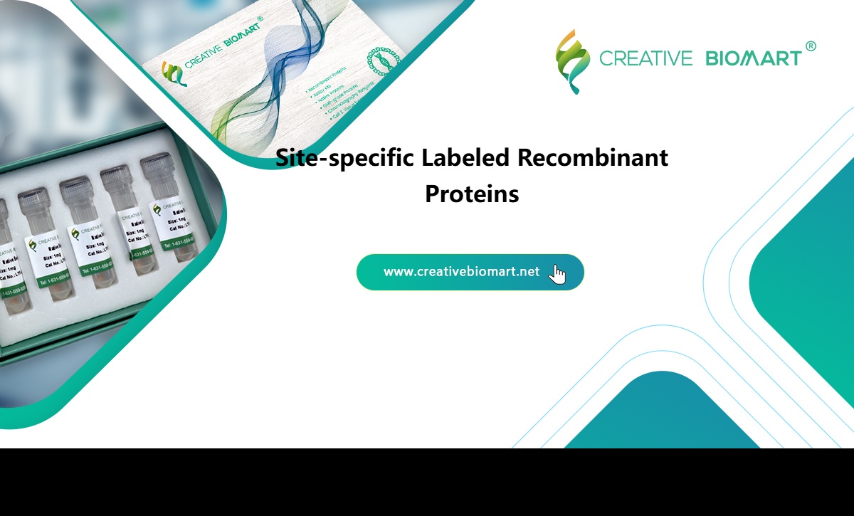 Site-specific Labeled Recombinant Proteins - Creative BioMart