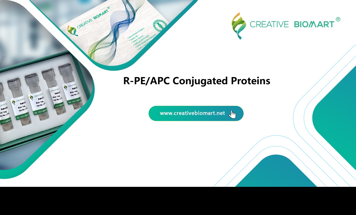 R-PE/APC Conjugated Proteins - Creative BioMart