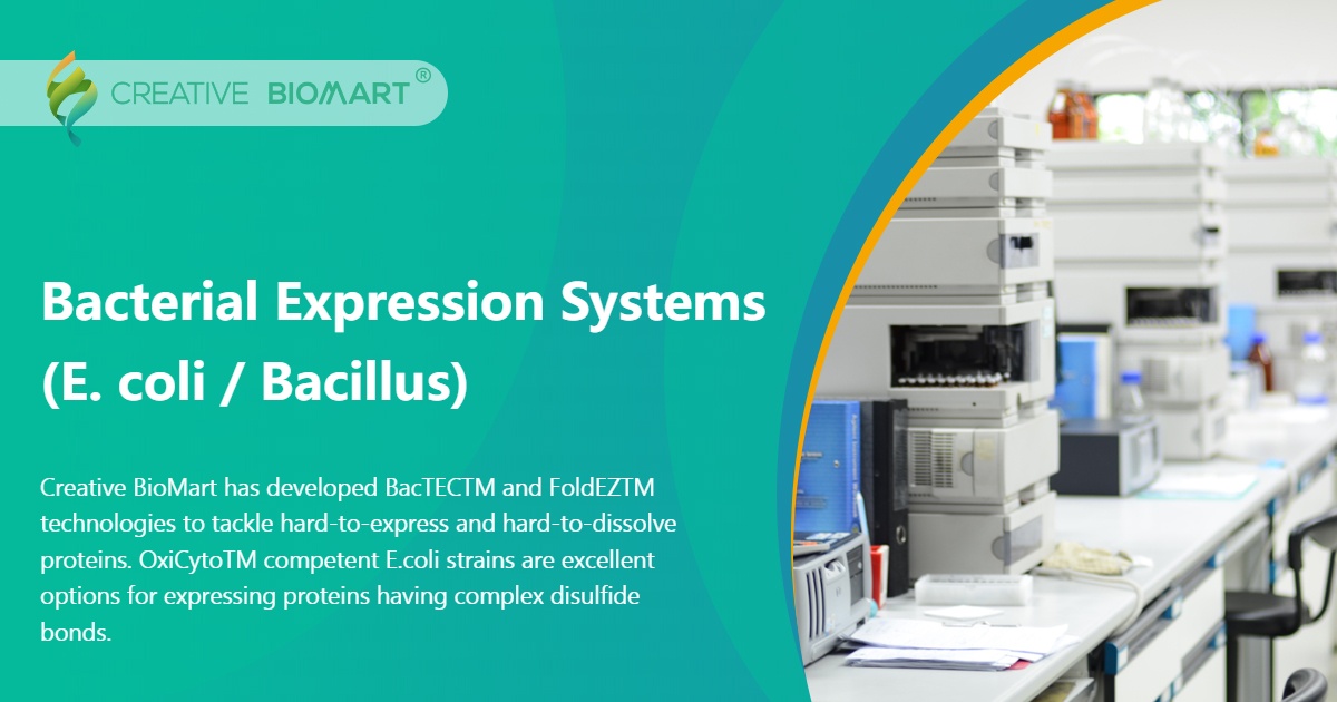Bacterial Expression Systems (E. coli / Bacillus) - Creative BioMart