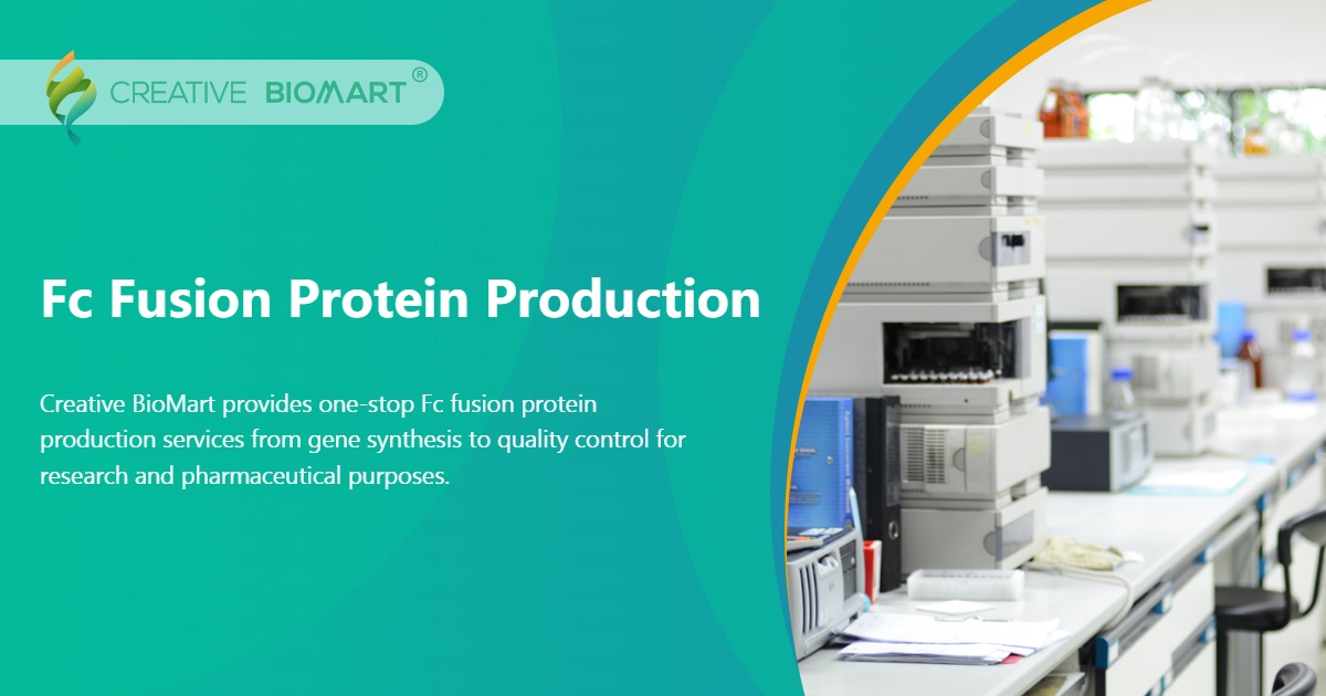 Fc Fusion Protein Production - Creative BioMart