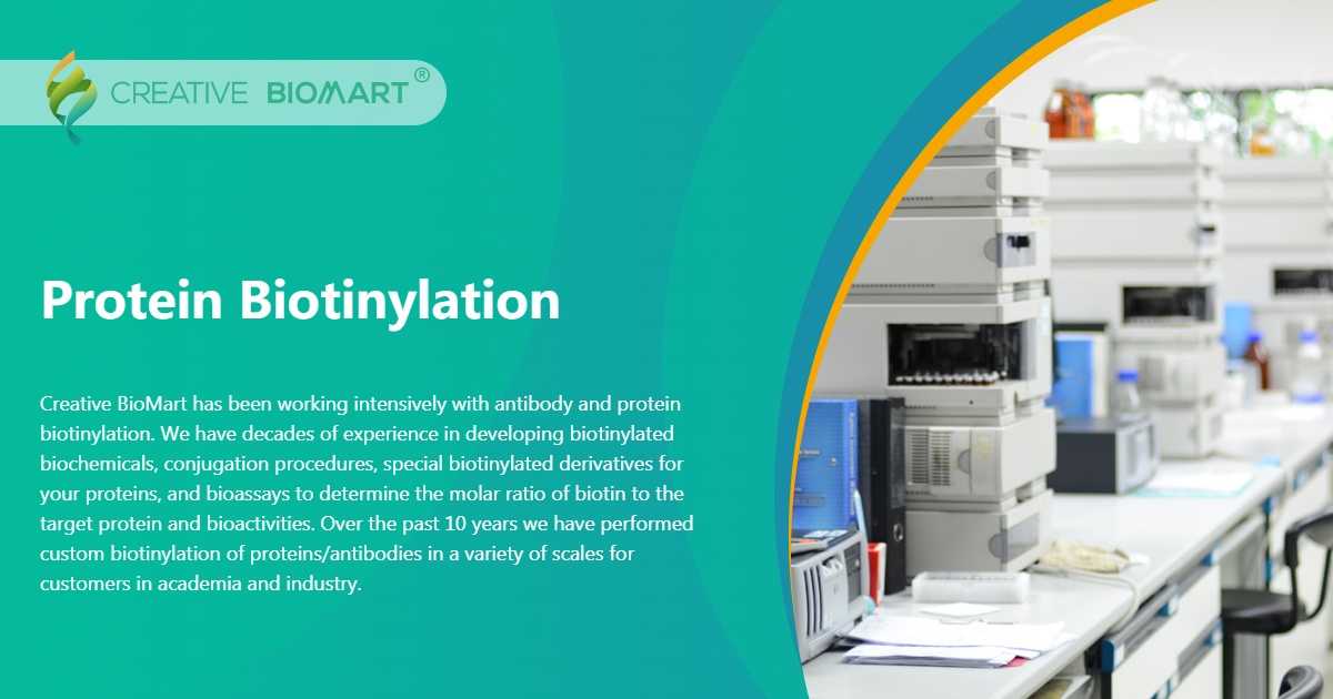 Protein Biotinylation - Creative BioMart