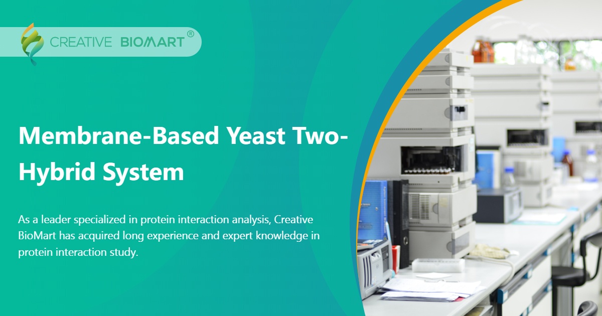Membrane-Based Yeast Two-Hybrid System - Creative BioMart