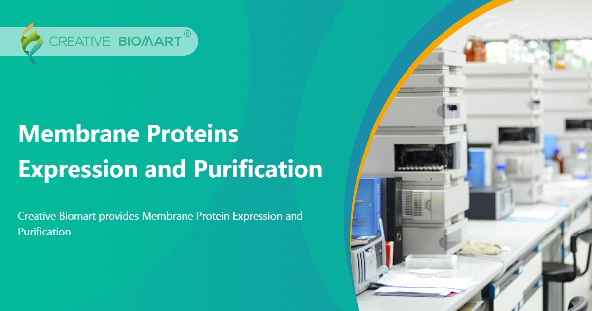 Membrane Proteins Expression and Purification - Creative BioMart