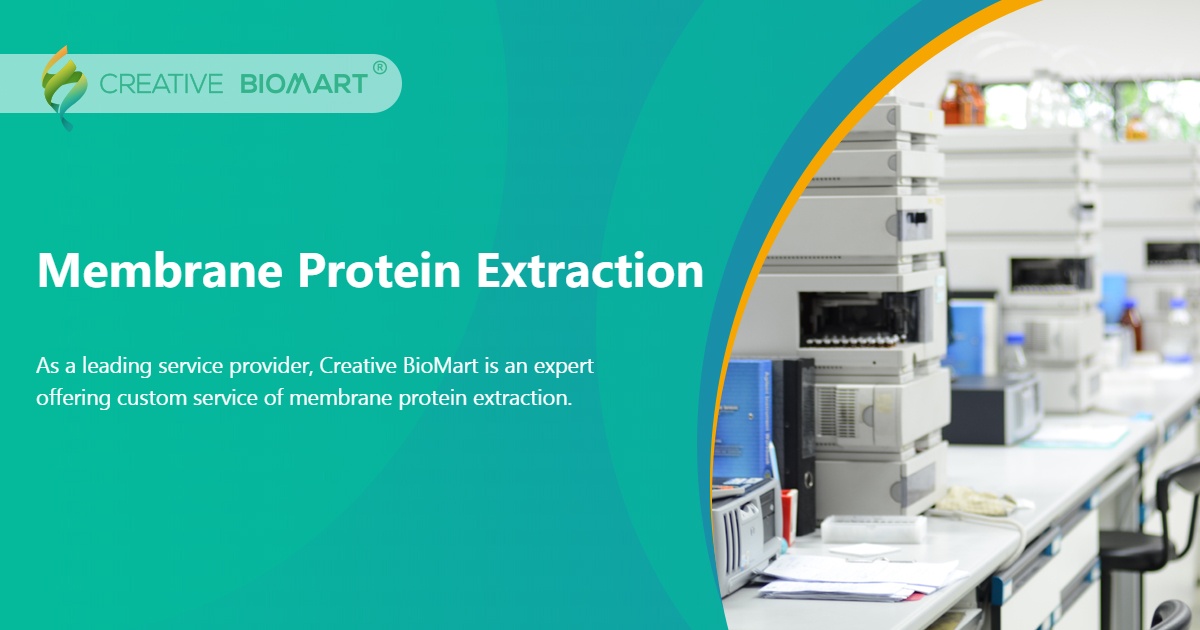Membrane Protein Extraction - Creative BioMart