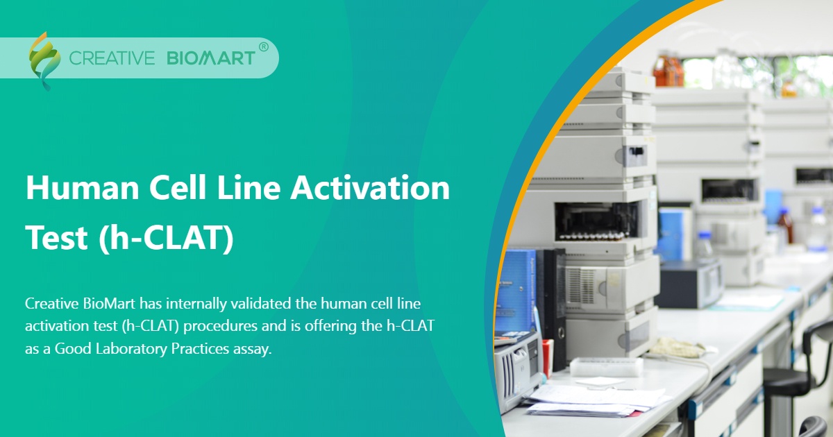 Human Cell Line Activation Test (h-CLAT) - Creative BioMart