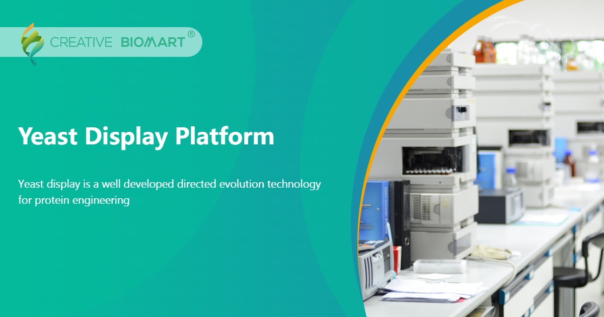 Yeast Display Platform - Creative BioMart