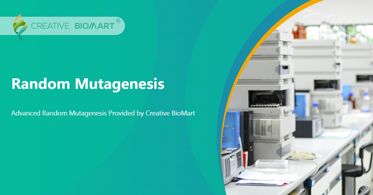 Random Mutagenesis for Library Construction - Creative BioMart