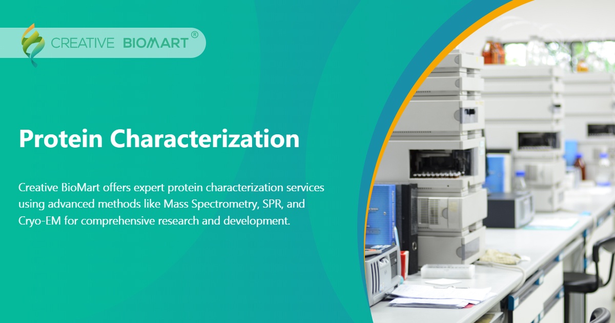 Protein Characterization - Creative BioMart