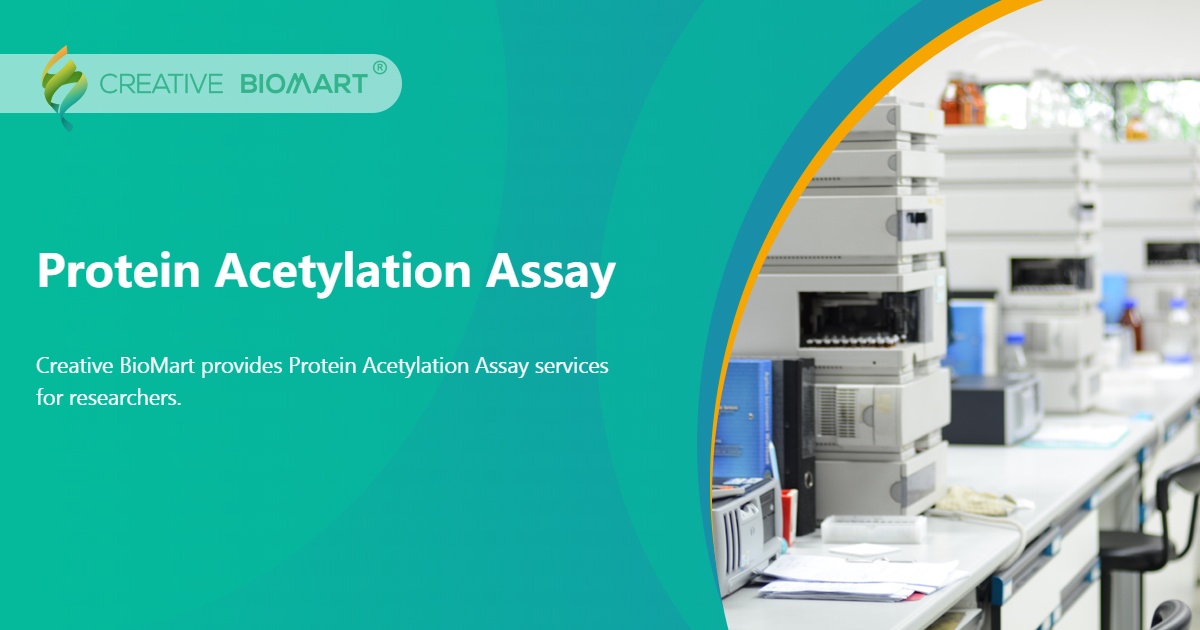 Protein Acetylation Assay - Creative BioMart
