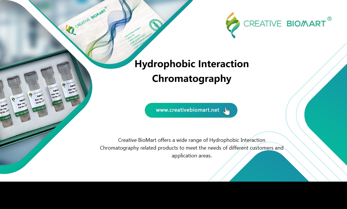Hydrophobic Interaction Chromatography - Creative BioMart