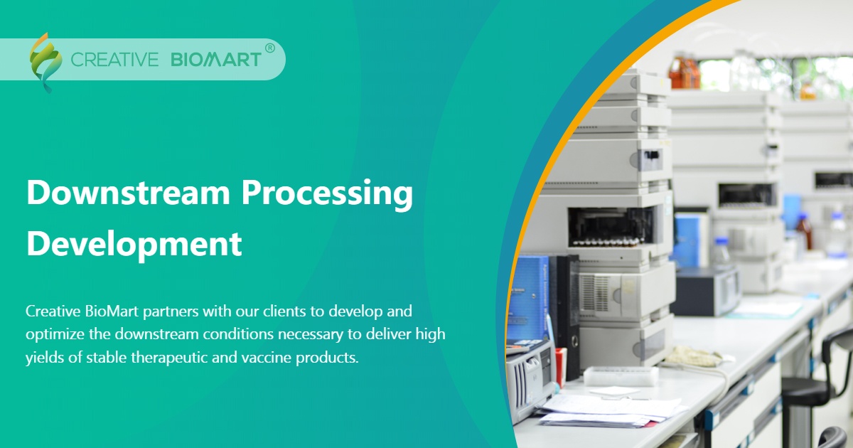 Downstream Processing Development - Creative BioMart