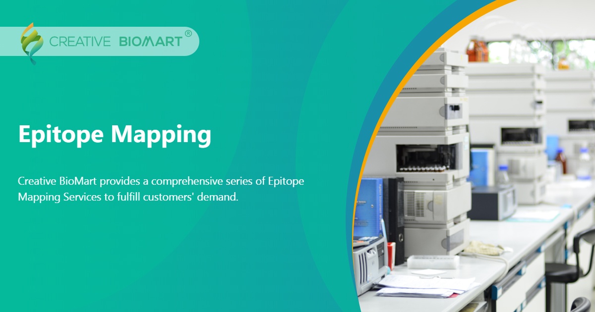 Epitope Mapping - Creative BioMart