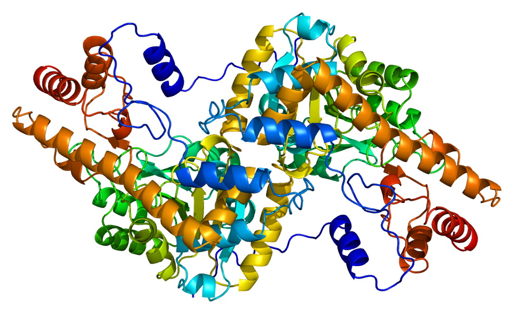Oxaloacetic Transaminase