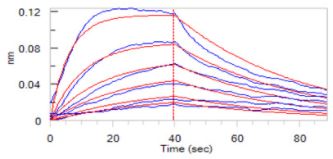 Recombinant Human IL2RA protein, His-tagged IL2RA-2025H - Creative BioMart