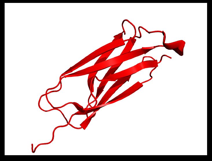 Human Alpha-2-Macroglobulin A2M-4176H - Creative BioMart