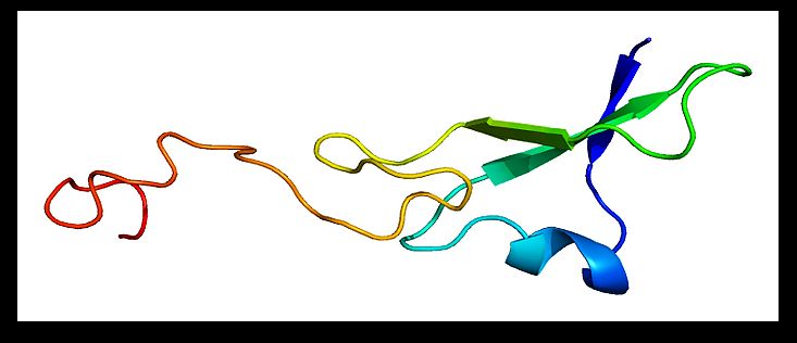 Recombinant Human Neuregulin 1 NRG1-029H - Creative BioMart