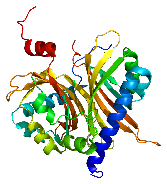 Recombinant Human NTF2-Like Export Factor 1, His-tagged NXT1-3523H ...